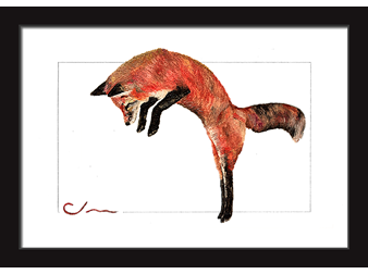 Pounce – christopher green studio