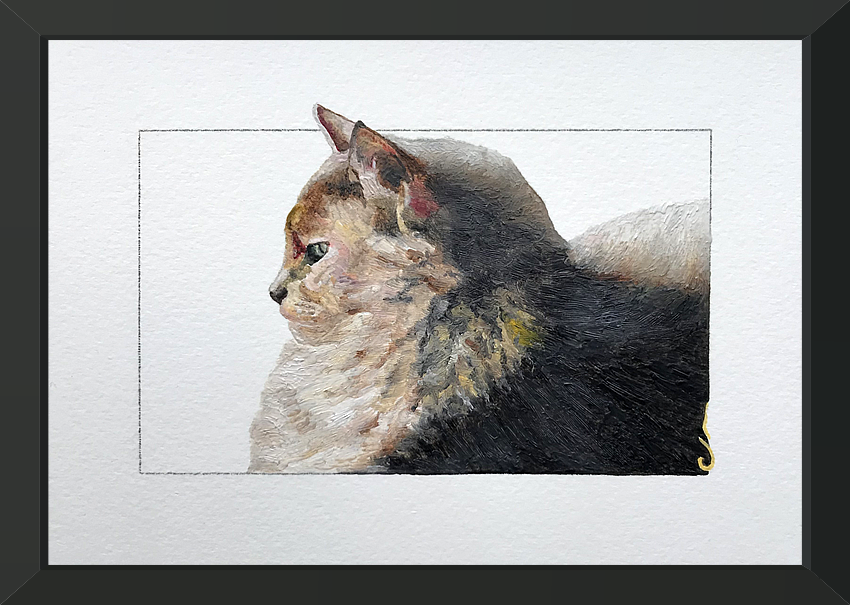 Shadow – christopher green studio